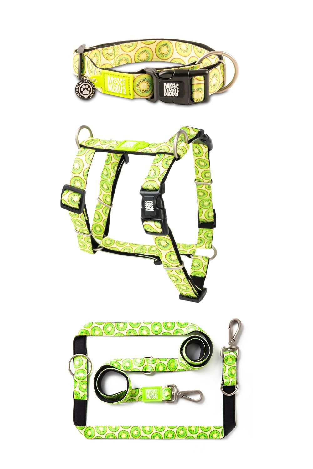 Kiwi – Max & Molly Urban Pets