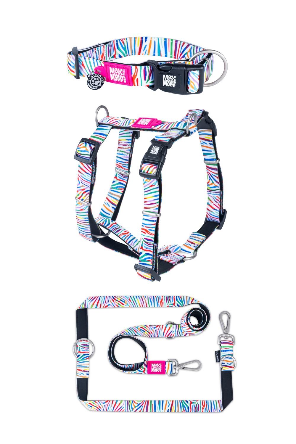Magic Zebra – Max & Molly Urban Pets