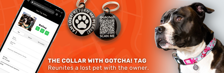 Max & Molly Urban Pets - Unique Products For Dogs & Cats