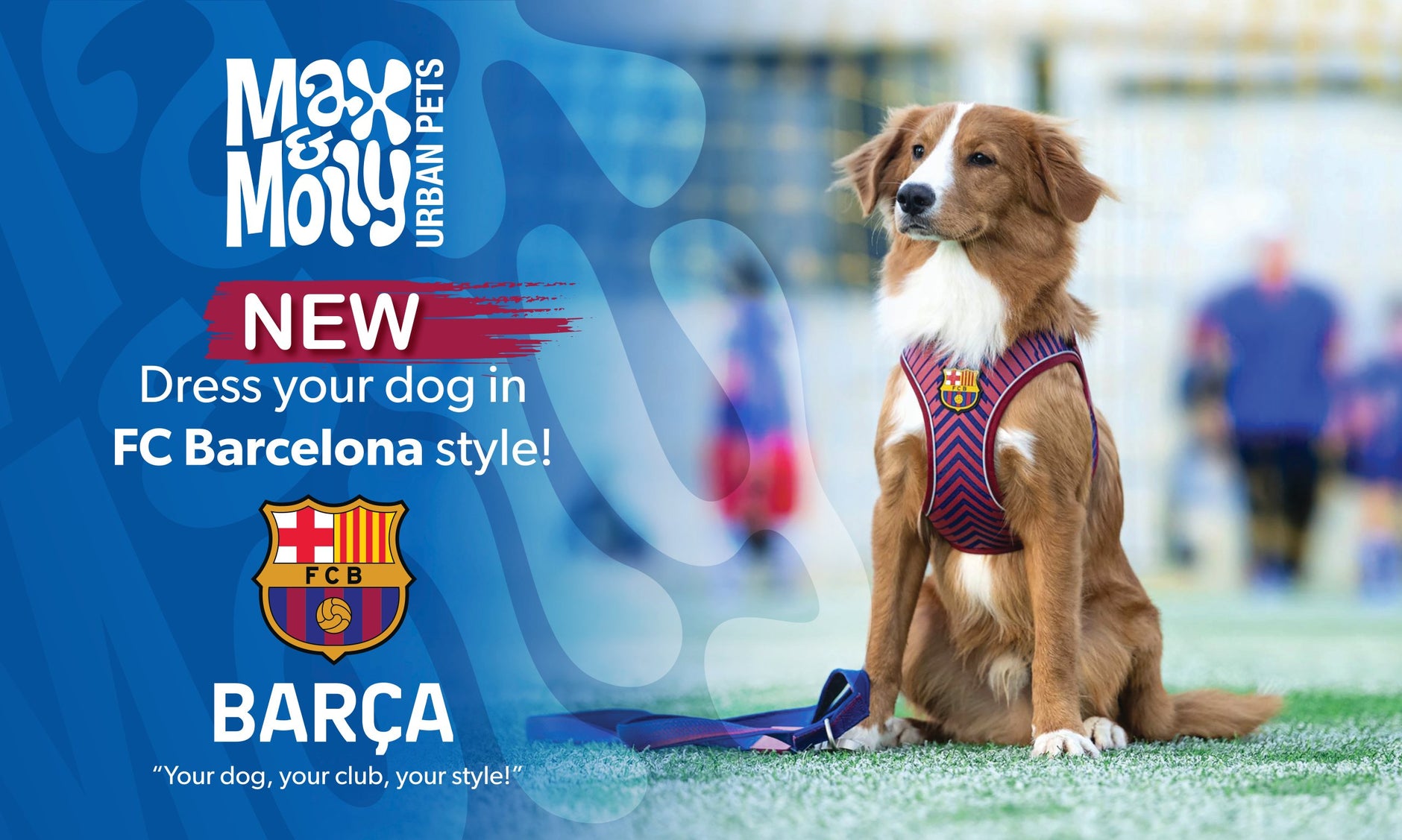 Max & Molly Urban Pets – Premium Accessories for Dogs & Cats