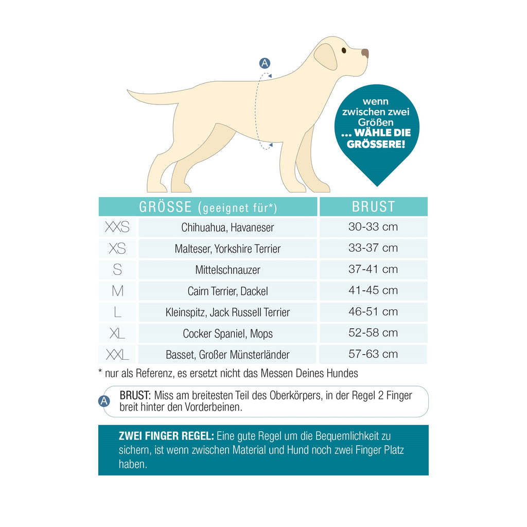 FC Barcelona Air Vest Harness – Max & Molly Urban Pets