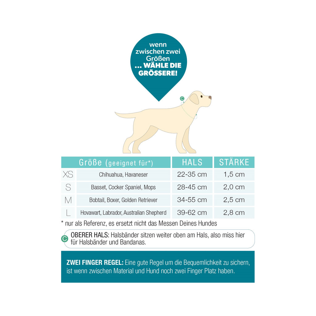 GOTCHA! Smart ID Collar - Matrix 2.0 Stone – Max & Molly Urban Pets